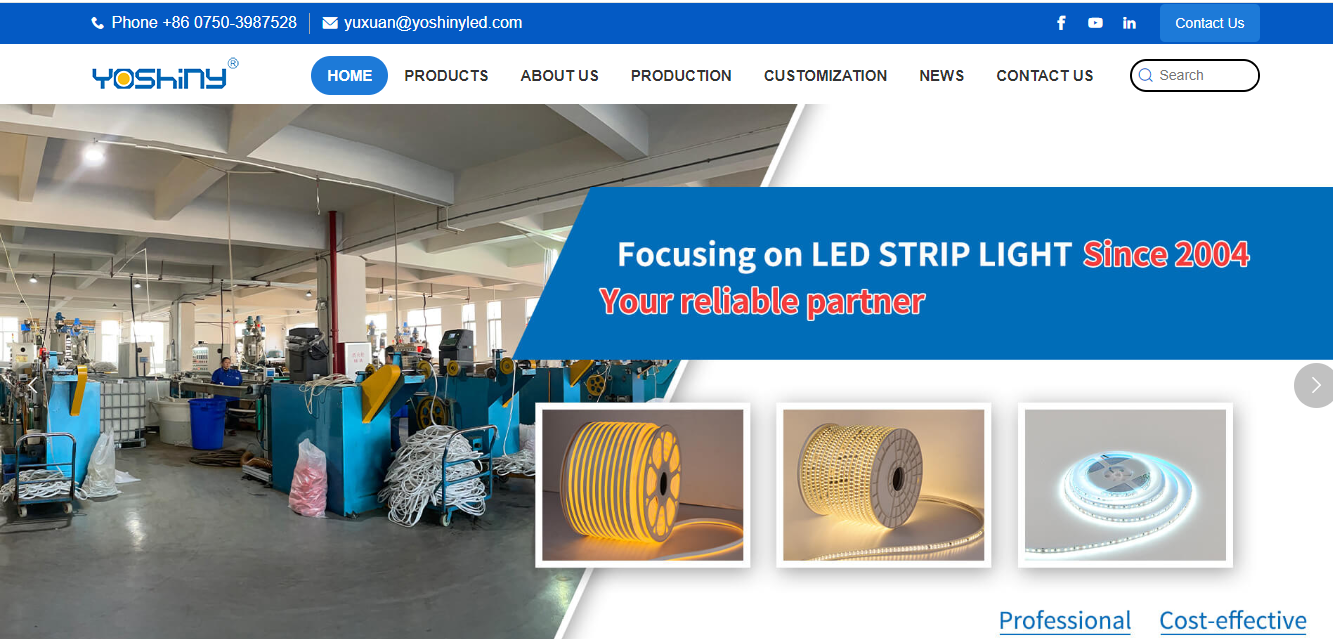 Top 10 LED Strip Light Manufacturers And Suppliers In China (2024) - OLAMLED