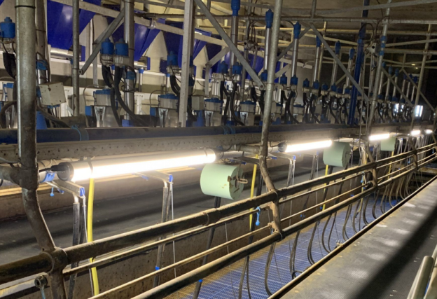 LED Vs LEP: Which is a Better Lighting Solution? - OLAMLED