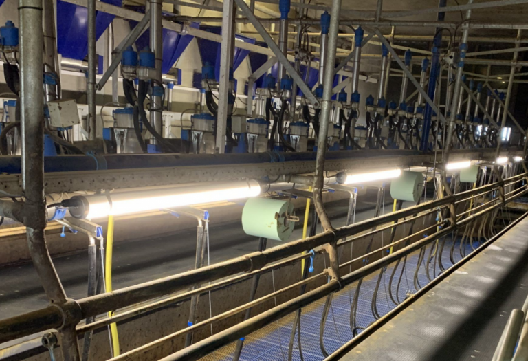 LED Tubular Lighting Tri-Proof IP68 IP69K - OLAMLED