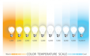 What Is The Best Color Temperature for LED Office Lighting? - OLAMLED