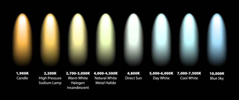 What Is The Best Color Temperature for LED Office Lighting? - OLAMLED