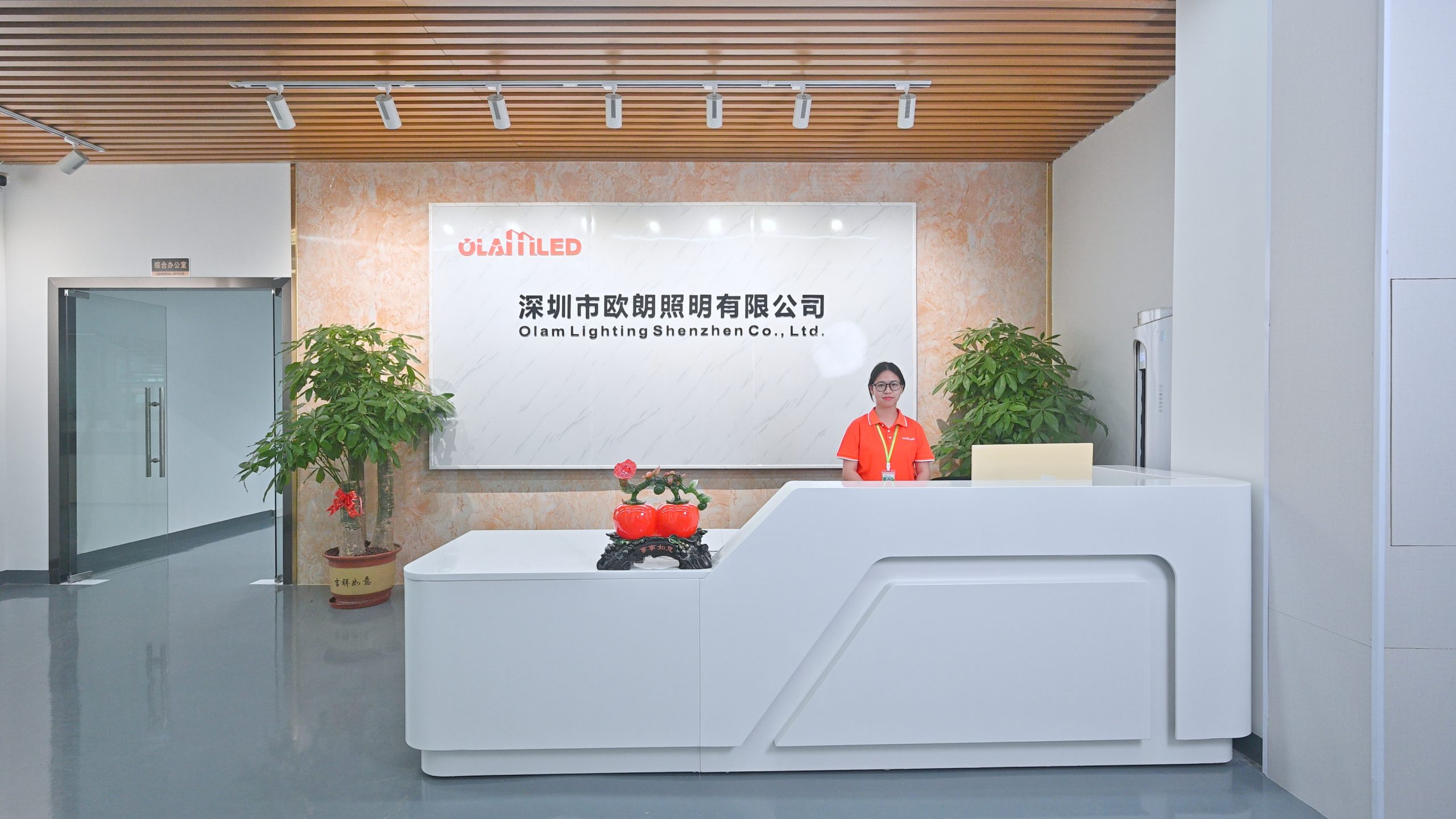 Top 10 LED Lighting Brands In The World - OLAMLED